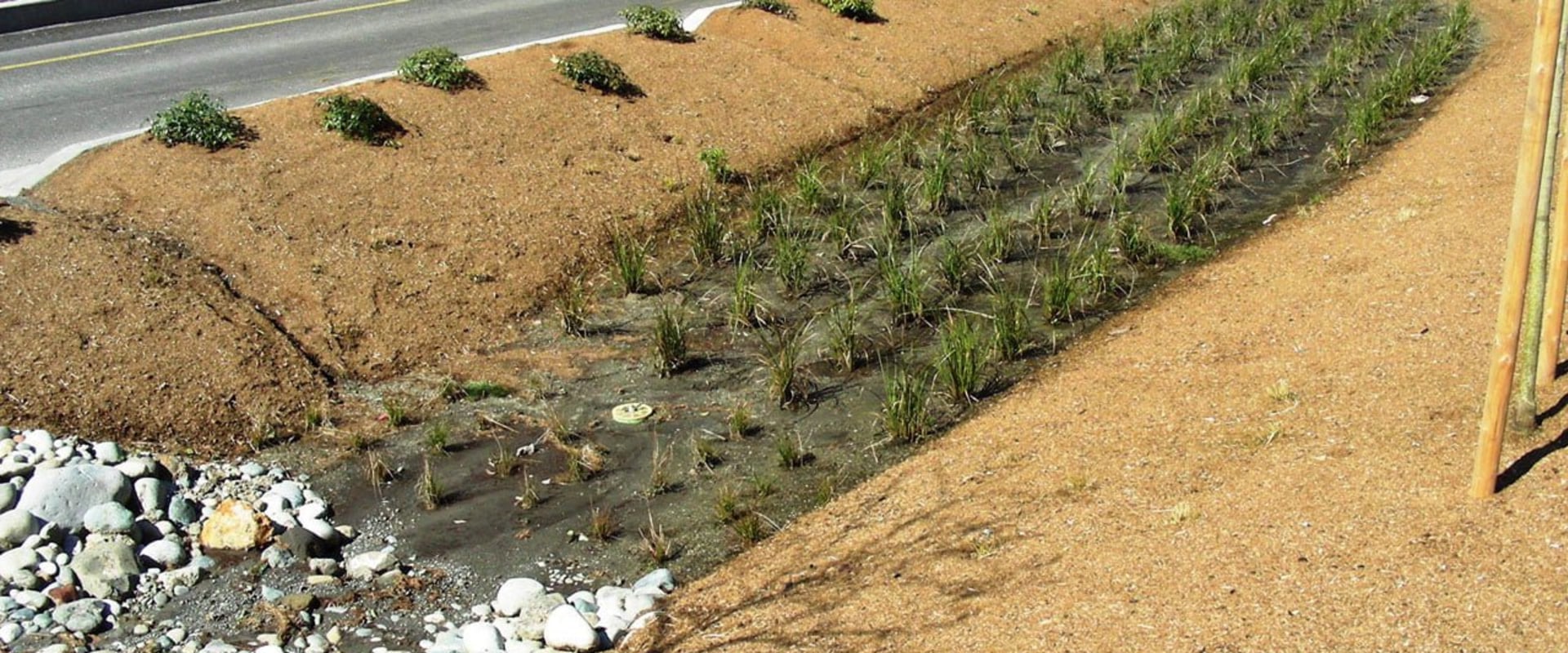 A Complete Guide to Bioretention Systems for Erosion Control and ...